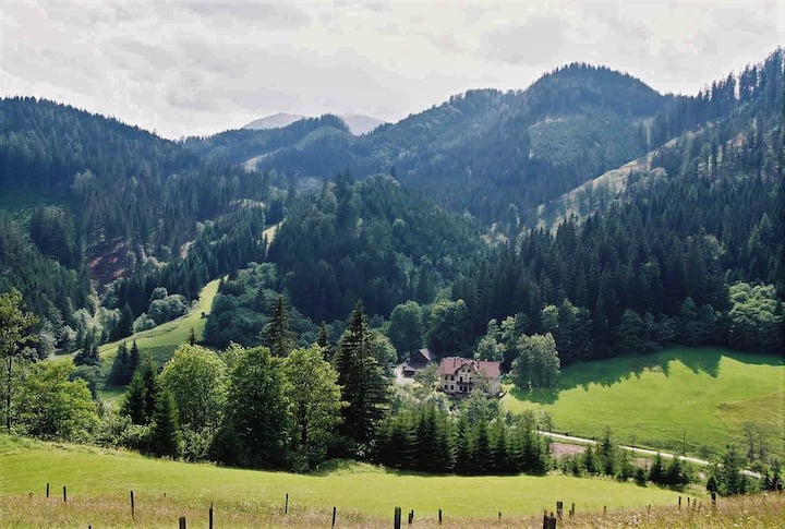 Wunderschöne Ferienwohnung Im Mariazellerland - Mariazell