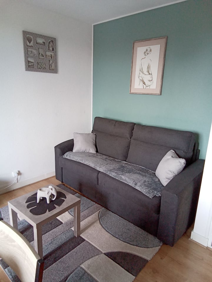 Appartement Très Lumineux. - Limoges