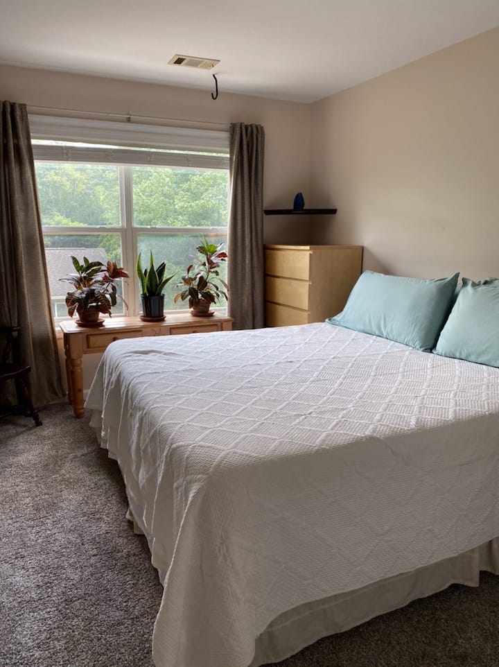 Private Master Bedroom Suite W/ King Tempur-pedic - アシュビル, NC