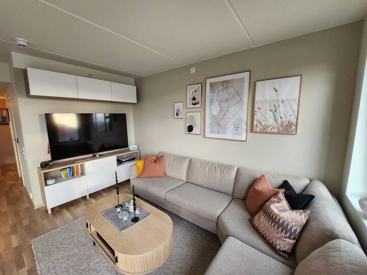 Family Friendly & City Close Apt - Oslo