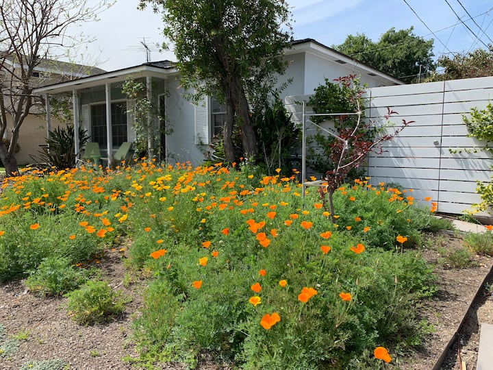 Your Solar-powered Mid-century Suburban Dream! - Long Beach, CA