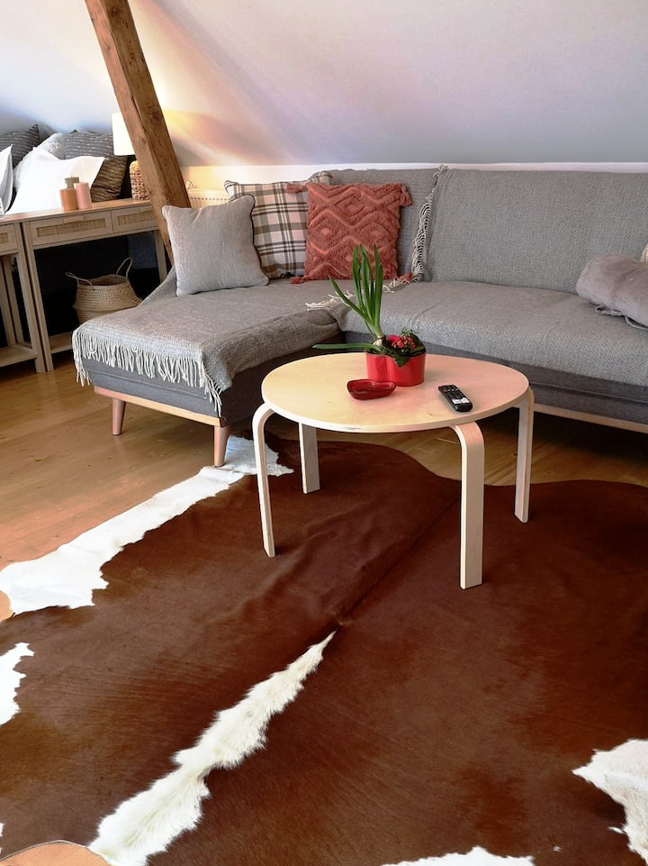 Casa Oanei S2 - Zărnești