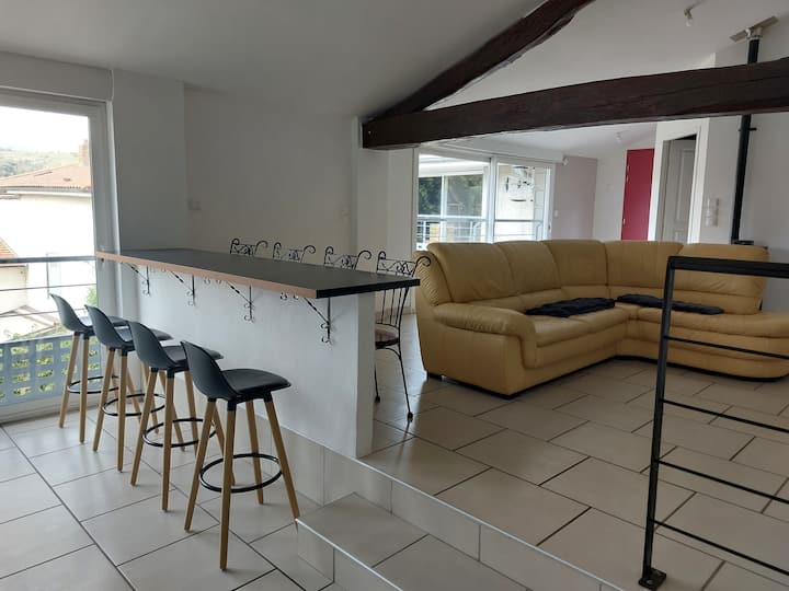 Appartement Lumineux - Condrieu