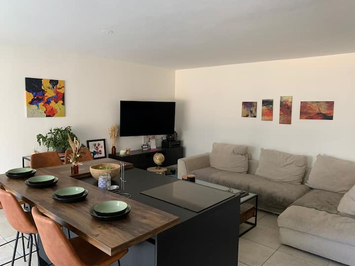 Appartement Situé à Côté Du Centre Ville - Lille