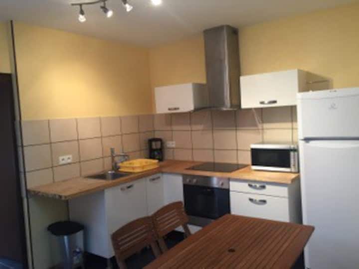 Appartement Spacieux Avec Vue Sur Loire - Roanne