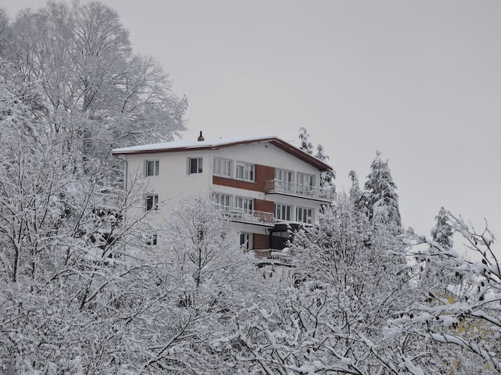 Prana - Le Souffle De La Vallée De Plombières - Plombières-les-Bains