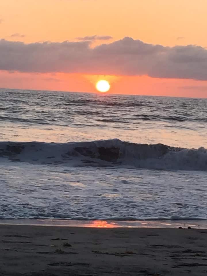 Charming Furnished Condo: Pet Friendly - Encinitas, CA