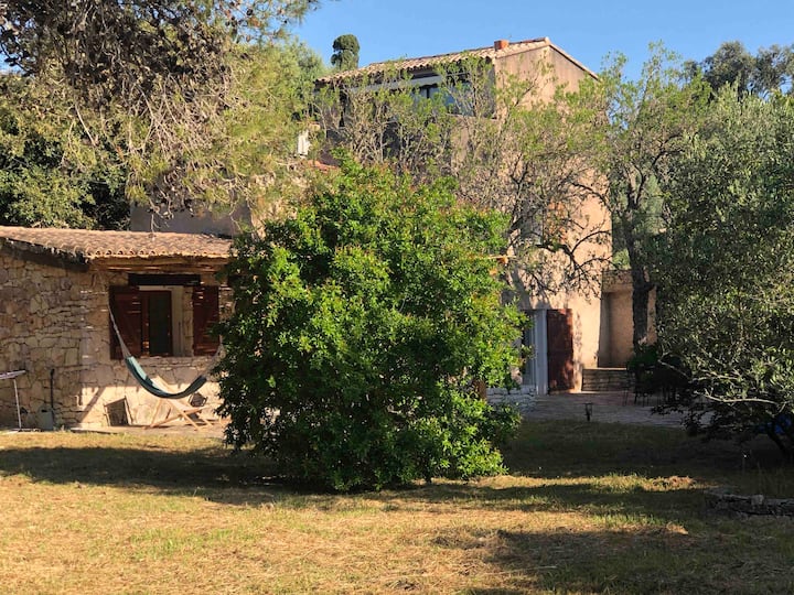 Maison Bonifacienne - ボニファシオ