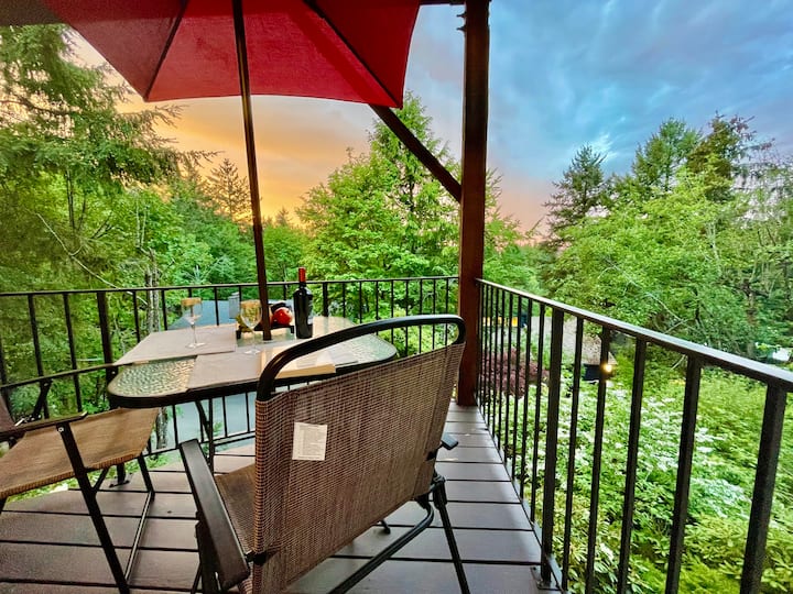New Remodeled Deluxe1bd Apt, View, Greatlocation - Portland, OR