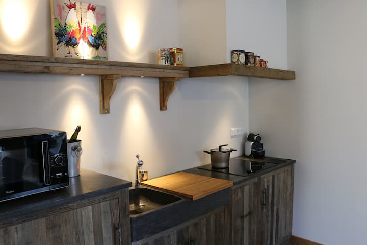 Cottage In Vrouwenpolder - Vrouwenpolder