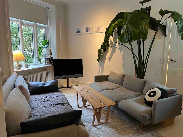 Summer Holiday In Copenhagen - Copenhagen