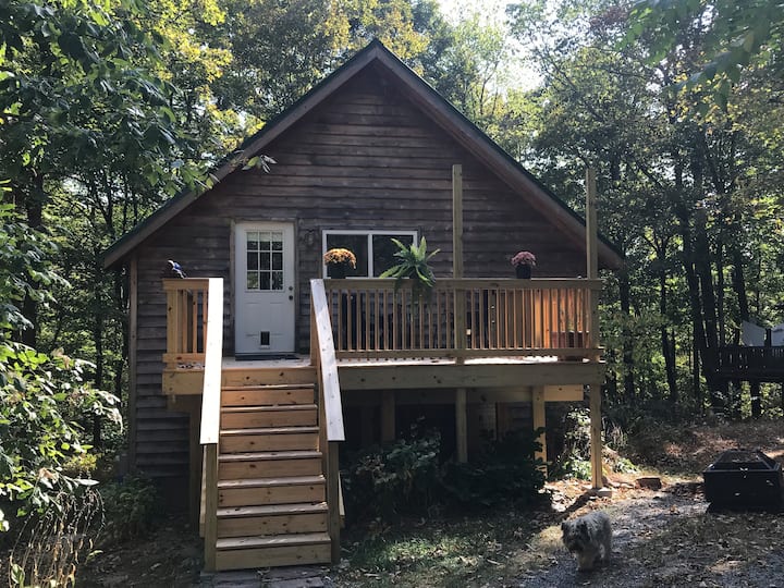 Terrapin Cabin. A Sunny, Quiet Cabin In The Woods. - Berkeley Springs, WV