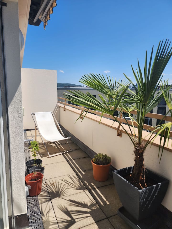 Rooftop Wohnung Mit 2 Terassen - Basilea