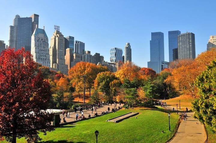 8-minute Central Park,quiet,share With 1 Nice Host - New York City