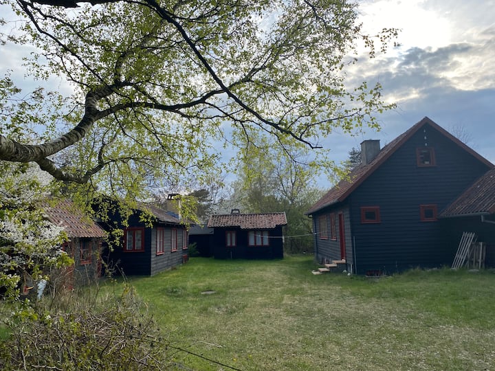 Vintage Sommerhus 300m Til Stranden - Denmark