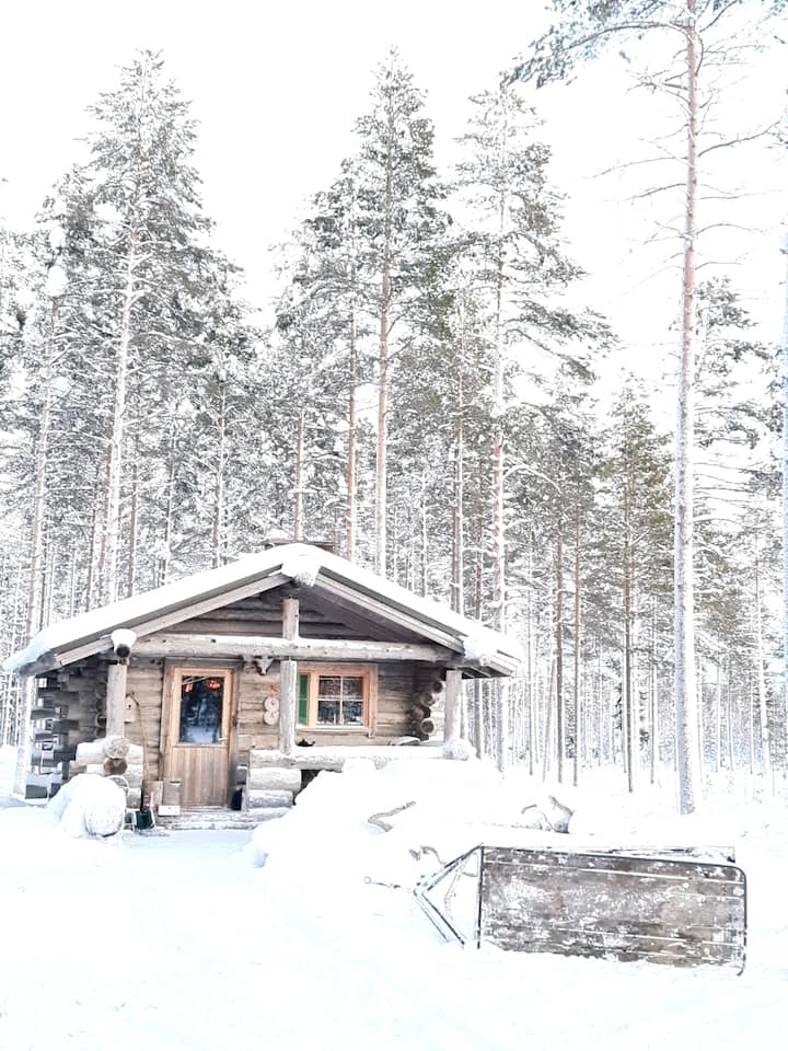 Heart Of Lapland-wilderness (All In One Package) -