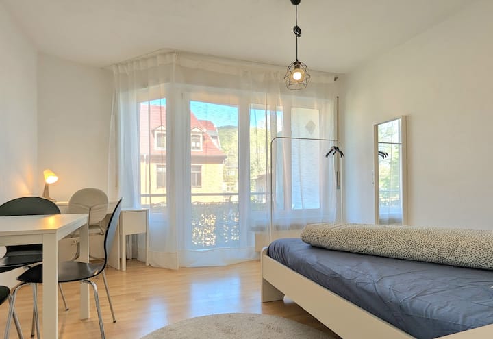 Schönes 1-zimmer-apartment Nahe Altstadt(hd Fri46) - Heidelberg