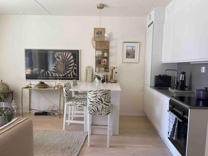 Moderne Leilighet Ved Inngangen Til Nordmardmarka! - Oslo