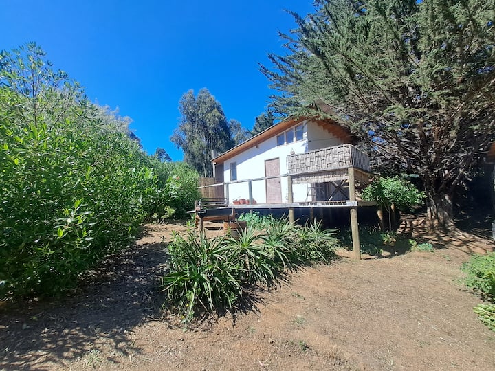 Cabaña Luna De Isla Negra - El Tabo