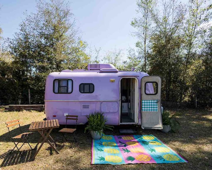 Adorable purple camper on farm with cute animals - Campers/RVs for Rent ...