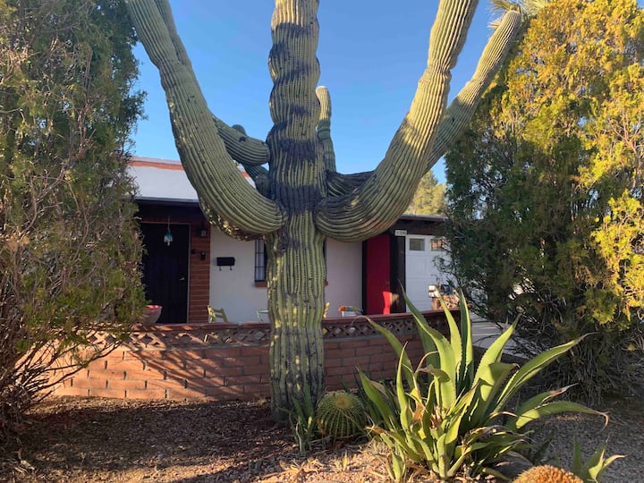 Cozy With Mountain Views - Green Valley, AZ