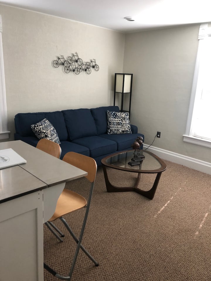 The Mitten Apartment - Downtown Saugatuck - Saugatuck, MI