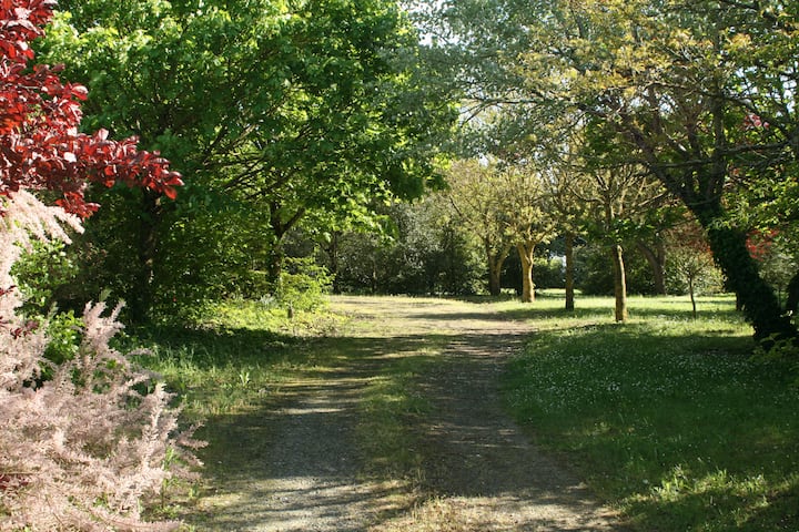 Un Petit Coin De Paradis Nature à 3 Km De La Plage - Île d'Oléron