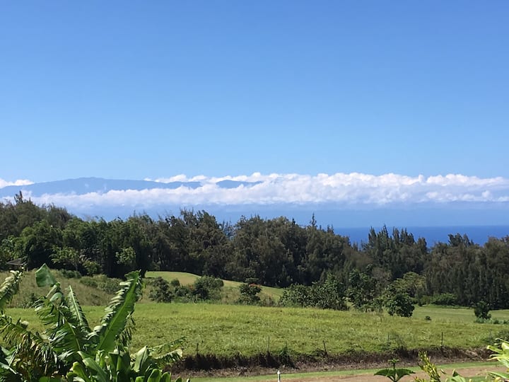 Halaula : locations de vacances et logements - Hawaï, États-Unis | Airbnb