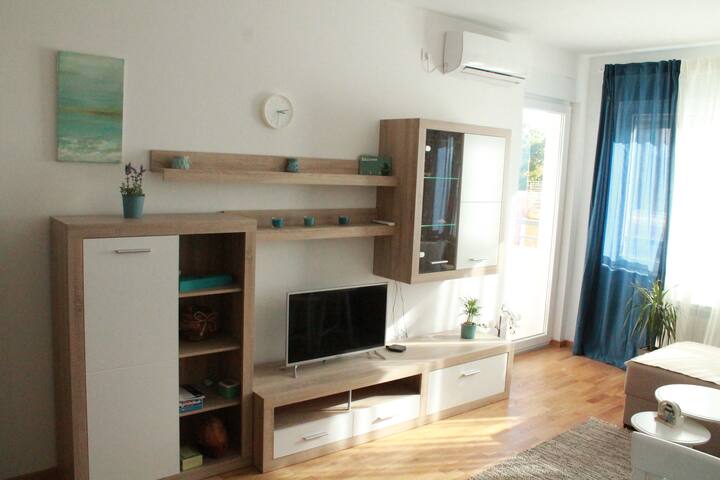 Entire Flat With Free Private Garage In Vracar - Belgrado