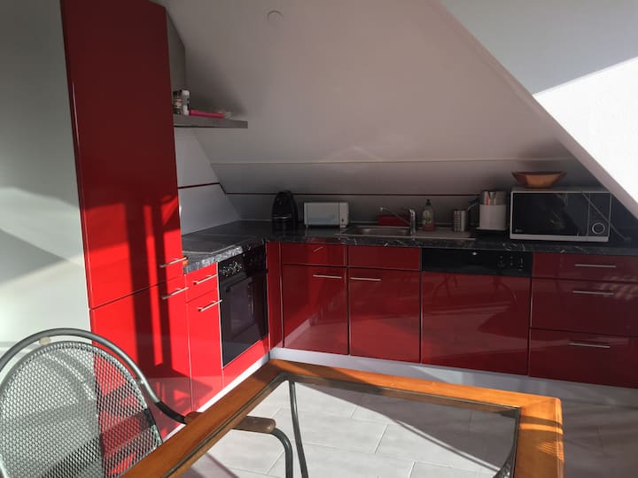 Appartement à 10 Min Du Centre Ville De Strasbourg - Strasbourg