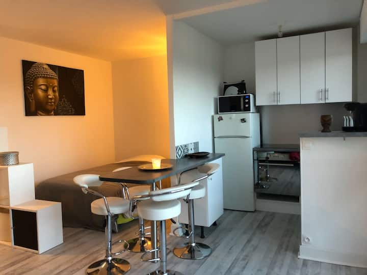Studio Cosy à 20 Min De Paris - Nogent-sur-Marne