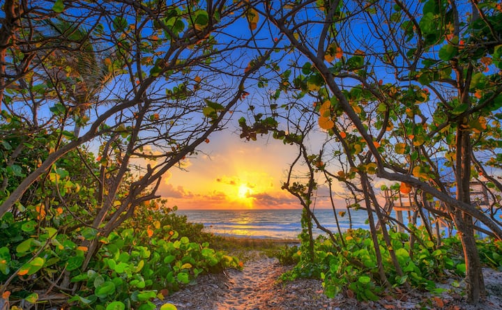 ❤️💛💚One Love By The Beach❤️💛💚 - Jupiter, FL