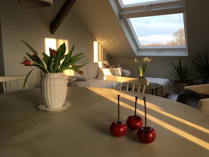 Dachraumwohnung 3kirschen - Bamberg
