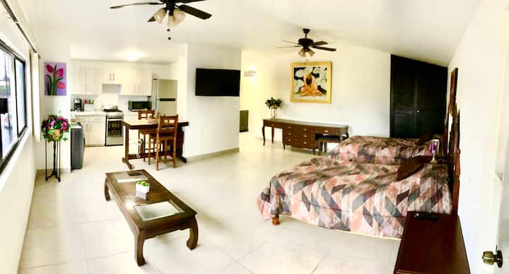 Loft En áRea Residencial. - Saltillo