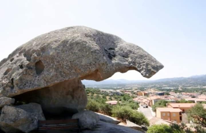 Appartamento Costa Smeralda-arzachena - Arzachena