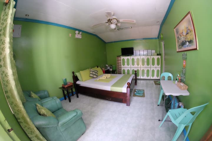 L & M Hearthstones Lodge - Green Room - Oslob