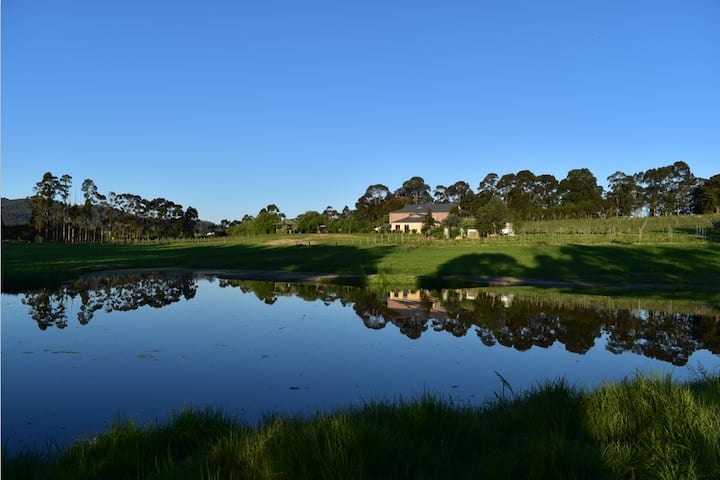 Gypsy Creek Winery Room 1 - Bunyip