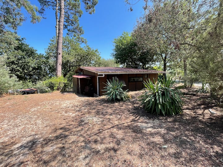 Agréable Chalet En Bois à 100m Du Lac - Biscarrosse