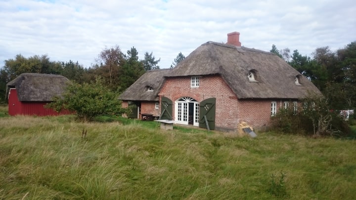 Old Style Restored House On The West Coast - Nymindegab