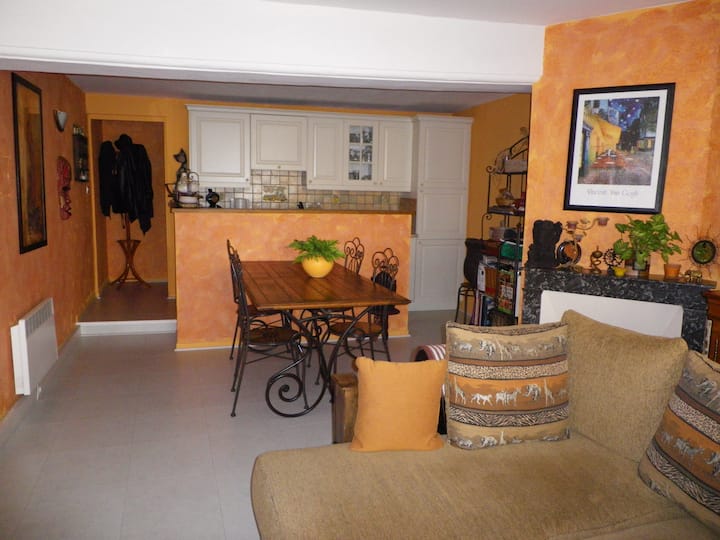 Meublé 2 Pièces 51 M² Orléans Centre - Orléans