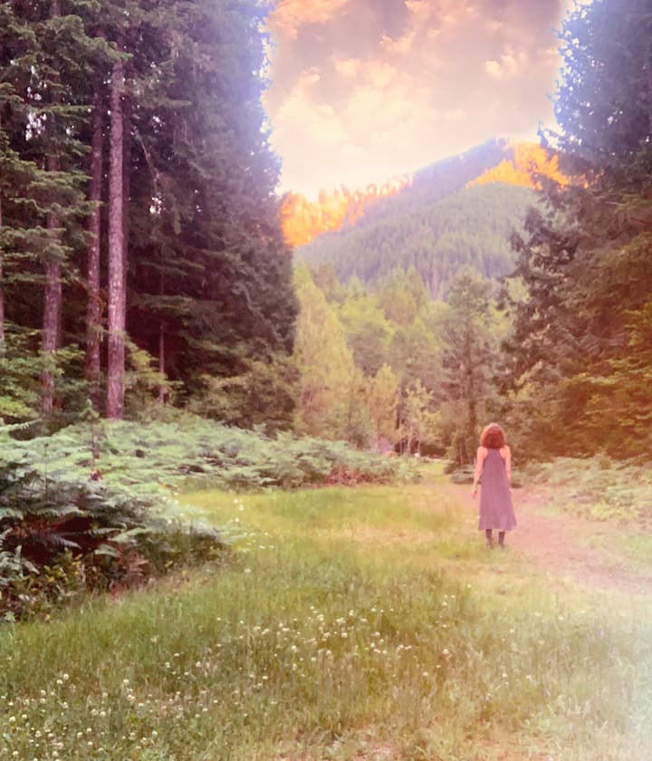 Lost Lake Cabins | Cabins and More | Airbnb