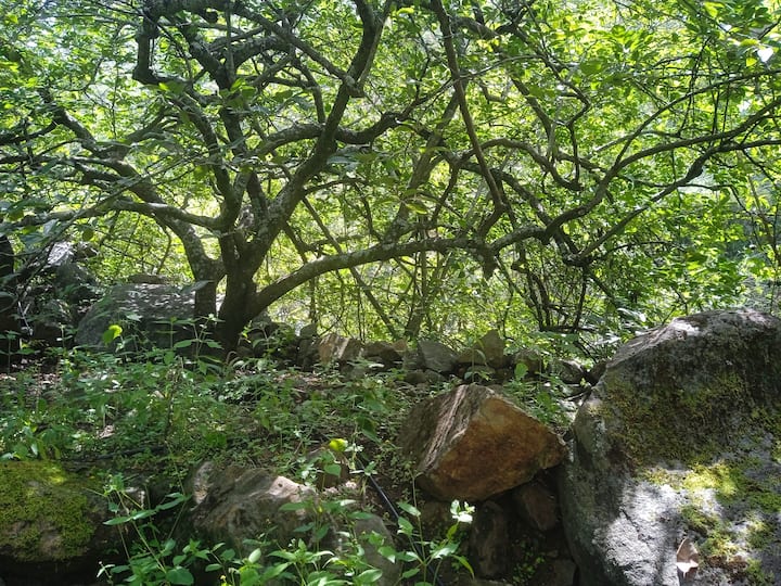 Simbal Vacation Rentals & Homes - La Libertad, Peru | Airbnb