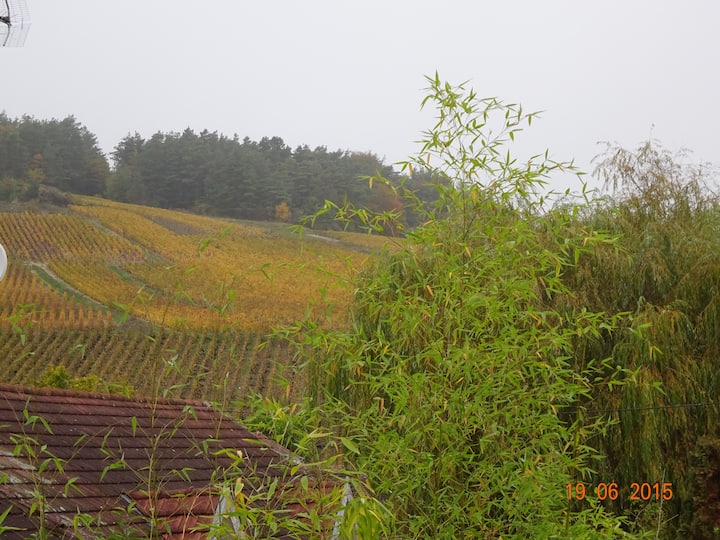 Meublé Lumineux Au Pied Des Vignes De Champagne - Bar-sur-Seine