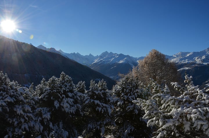 Chalet Les Arolles- Sonne, Berge, Natur - Vercorin