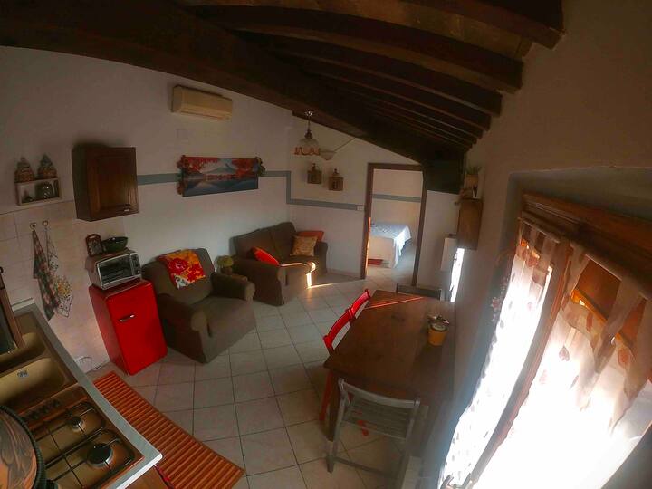 Independent Little Loft In Modena - Modena