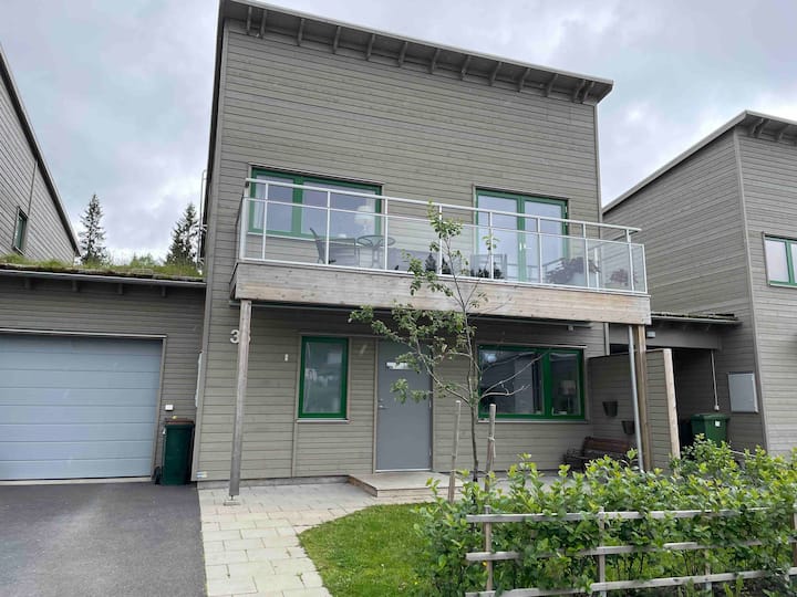 Sadelstigen Vid Skidspåret. - Östersund