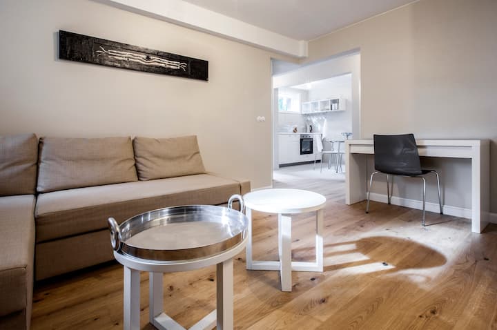 Reykjavik City Centre Four Person Flat - Reykjavik