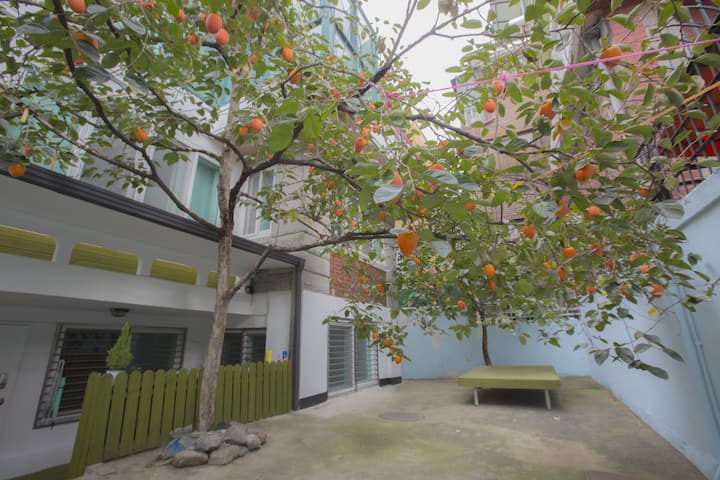 (홍대)마당있는 단독주택에서 편안히 지내세요 - South Korea