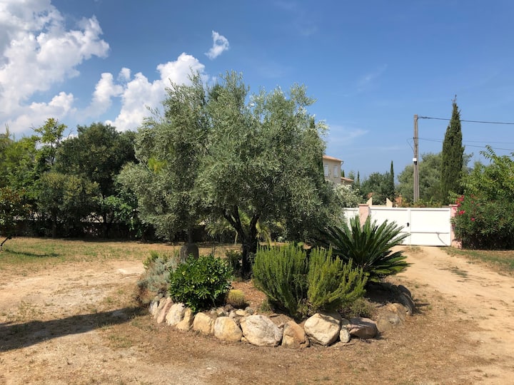 Studio Avec Mezzanine à Calenzana (Proche Calvi) - Calenzana