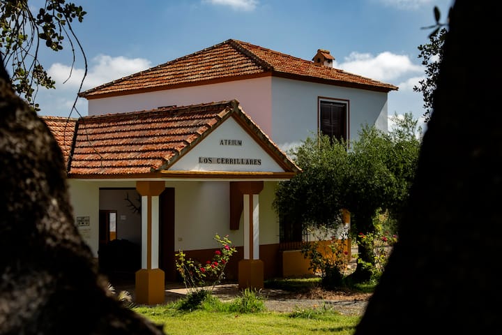 Patio Los Olivos - Hornachuelos